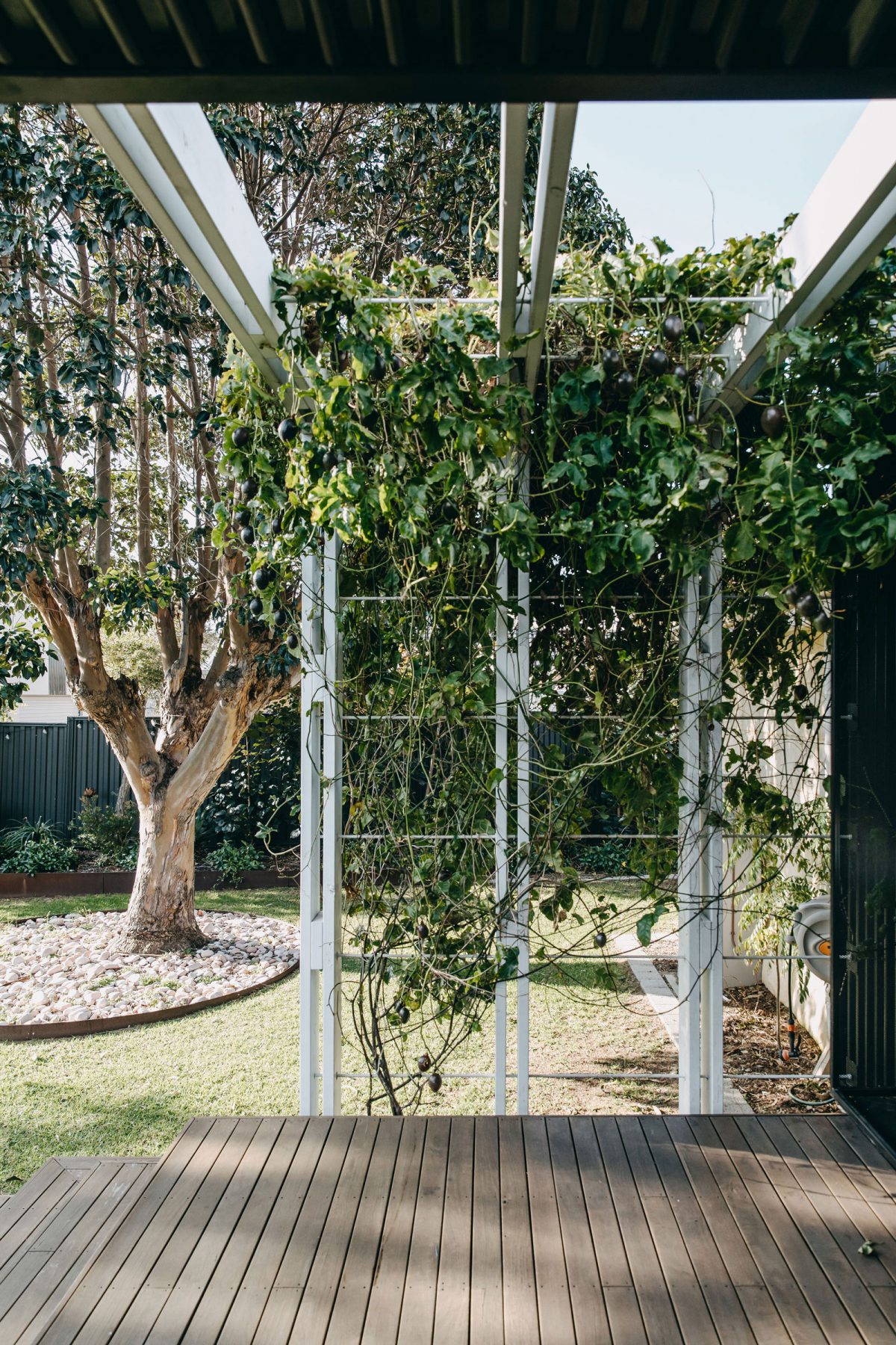 Hammy Hill Mullet | Architects&Co.